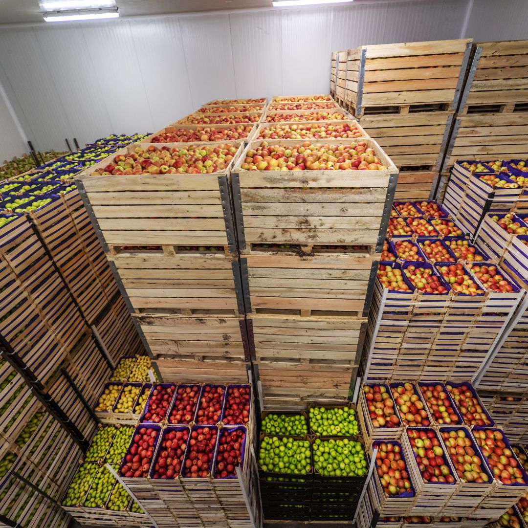 The Most Popular Items Shipped Via Containers - West Gulf Container
