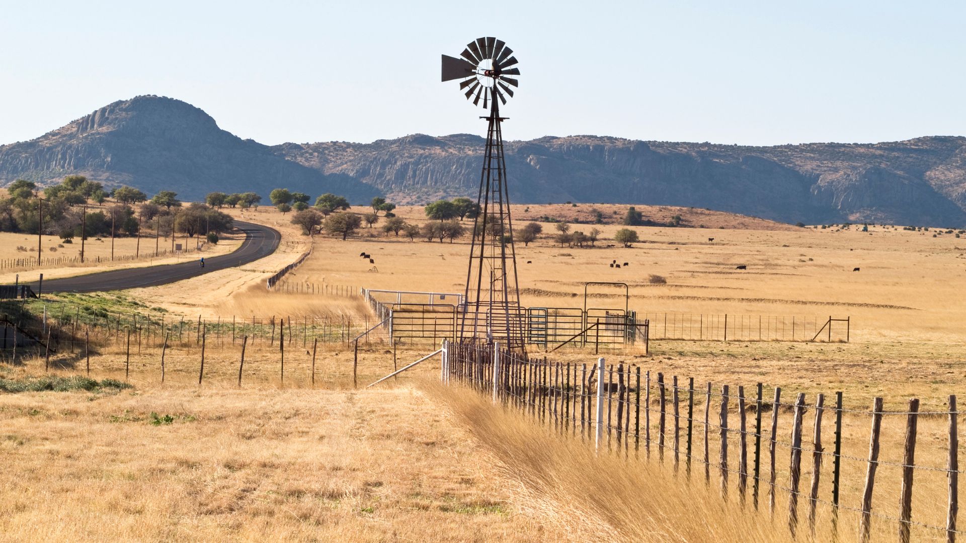 Shipping Containers for Texas Farmers - Discover the Benefits!